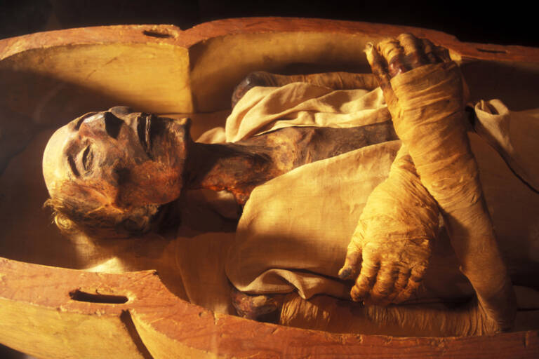 Mummies, een verhaal van Egypte tot Hollywood ‹ Amarant